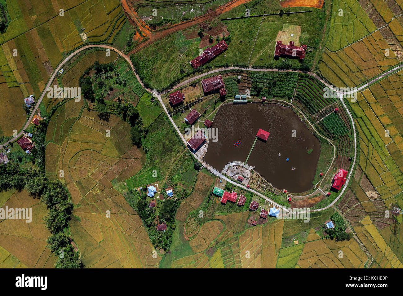 Spider net paddy field, Flores, Island Stock Photo - Alamy