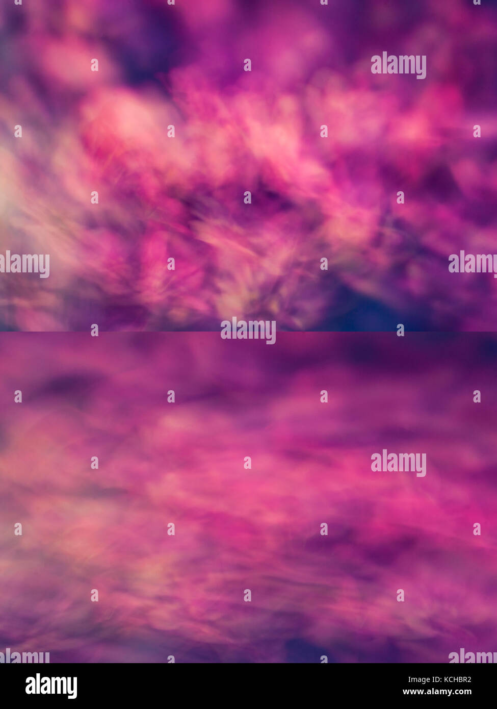 A set of two blurred bright magenta textures Stock Photo - Alamy