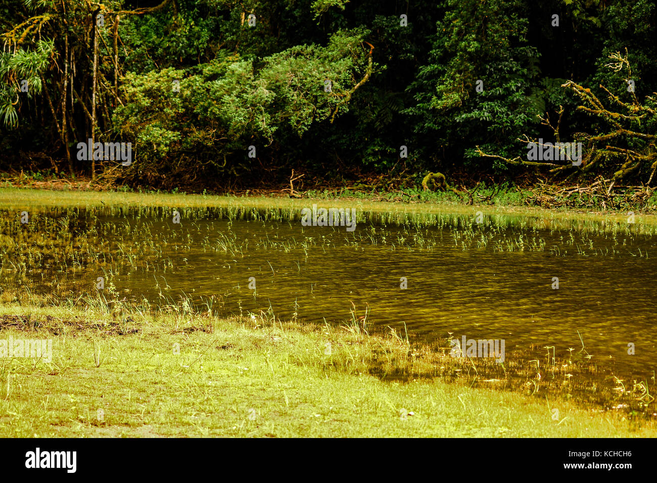 Welcome s Spring, green is in Stock Photo - Alamy