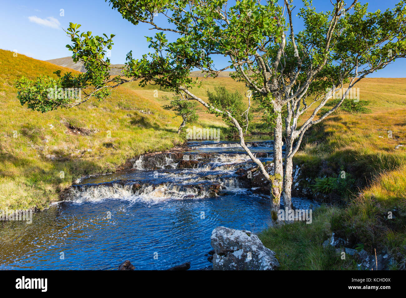 Scottish summer landscapes hi-res stock photography and images - Alamy