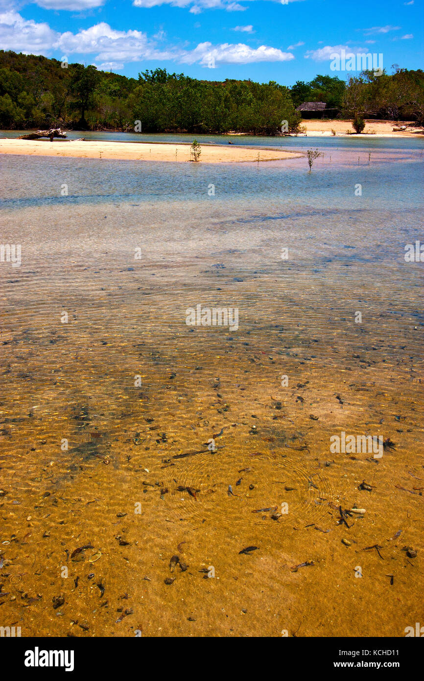 pond coastline river in the blue lagoon relax and bush madagascar nosy ...