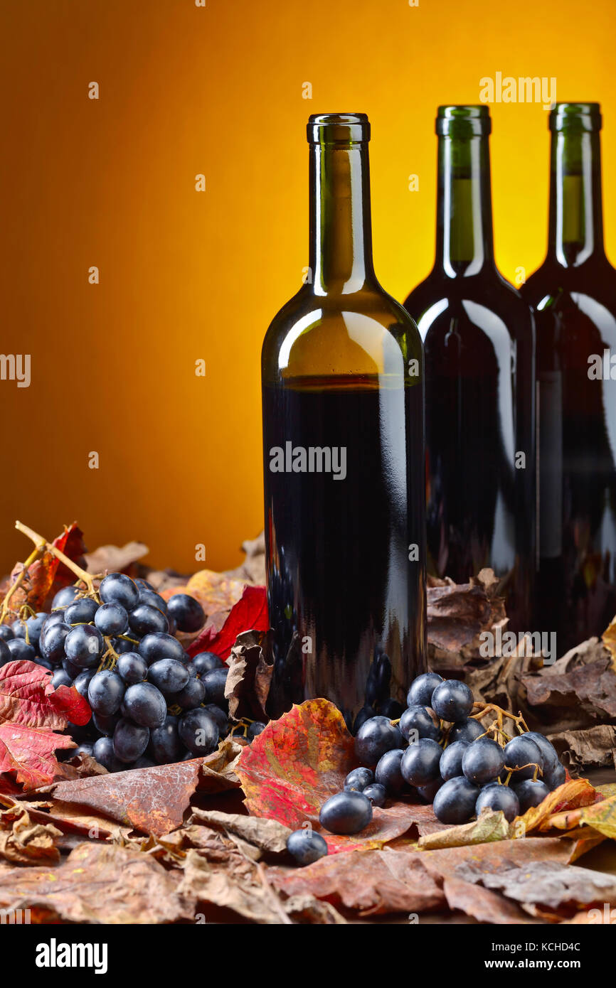 Red wine , grapes and dry vine leaves Stock Photo - Alamy