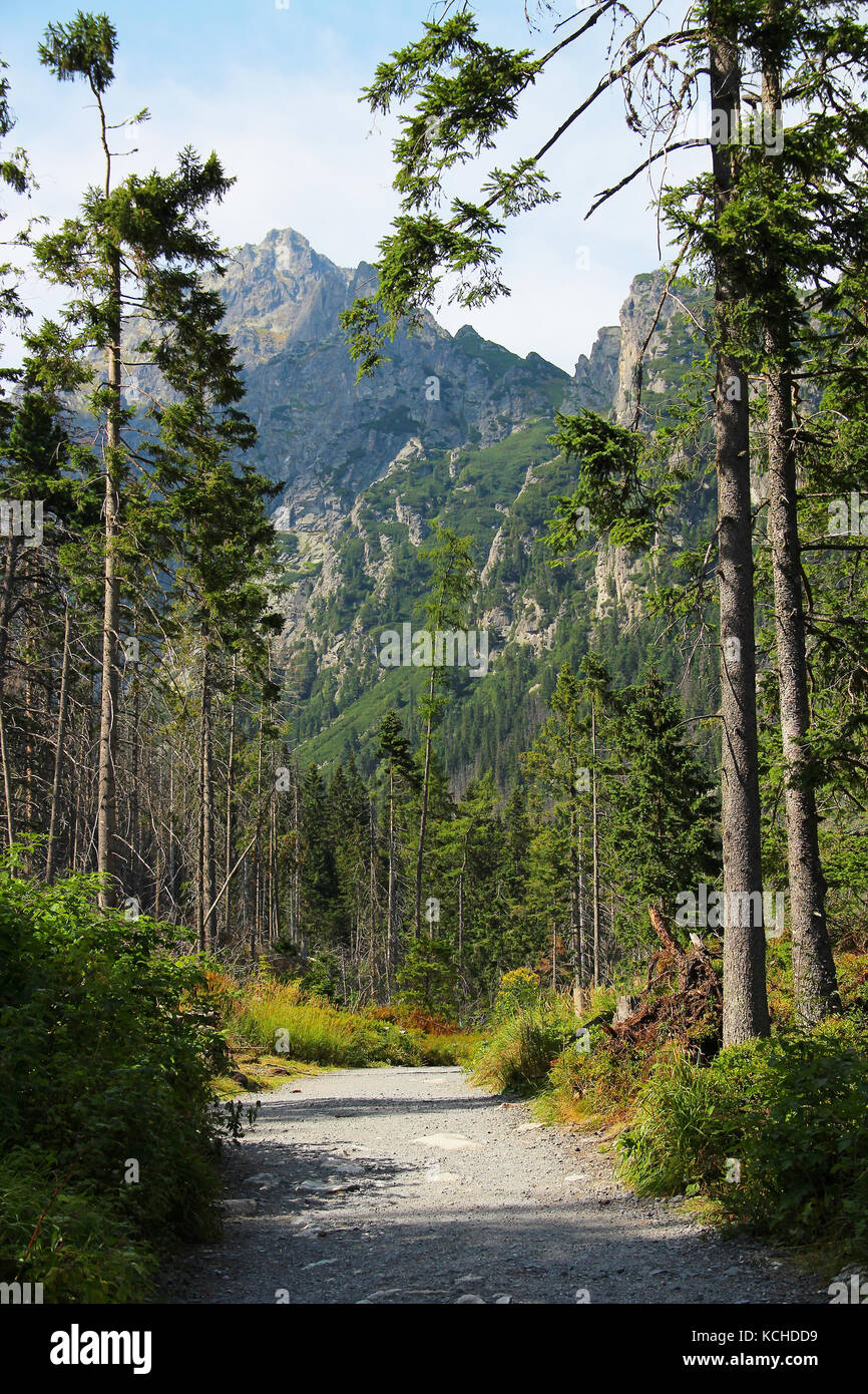 Trekking in high tatras hi-res stock photography and images - Alamy
