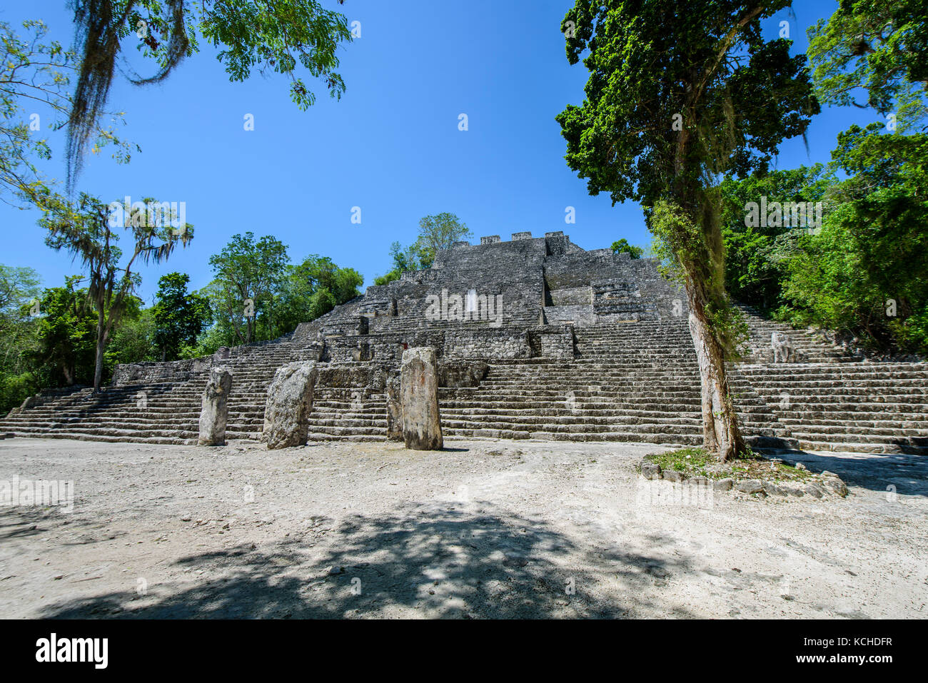 Stelae and structure at Mayan city of Calakmul, Calakmul Biosphere ...