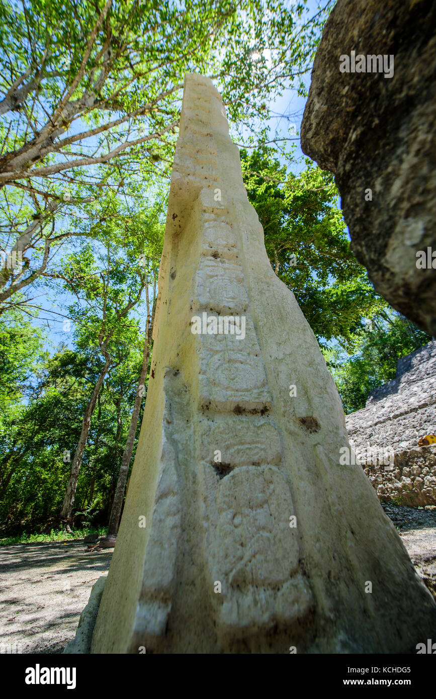 Stelae and structure at Mayan city of Calakmul, Calakmul Biosphere ...