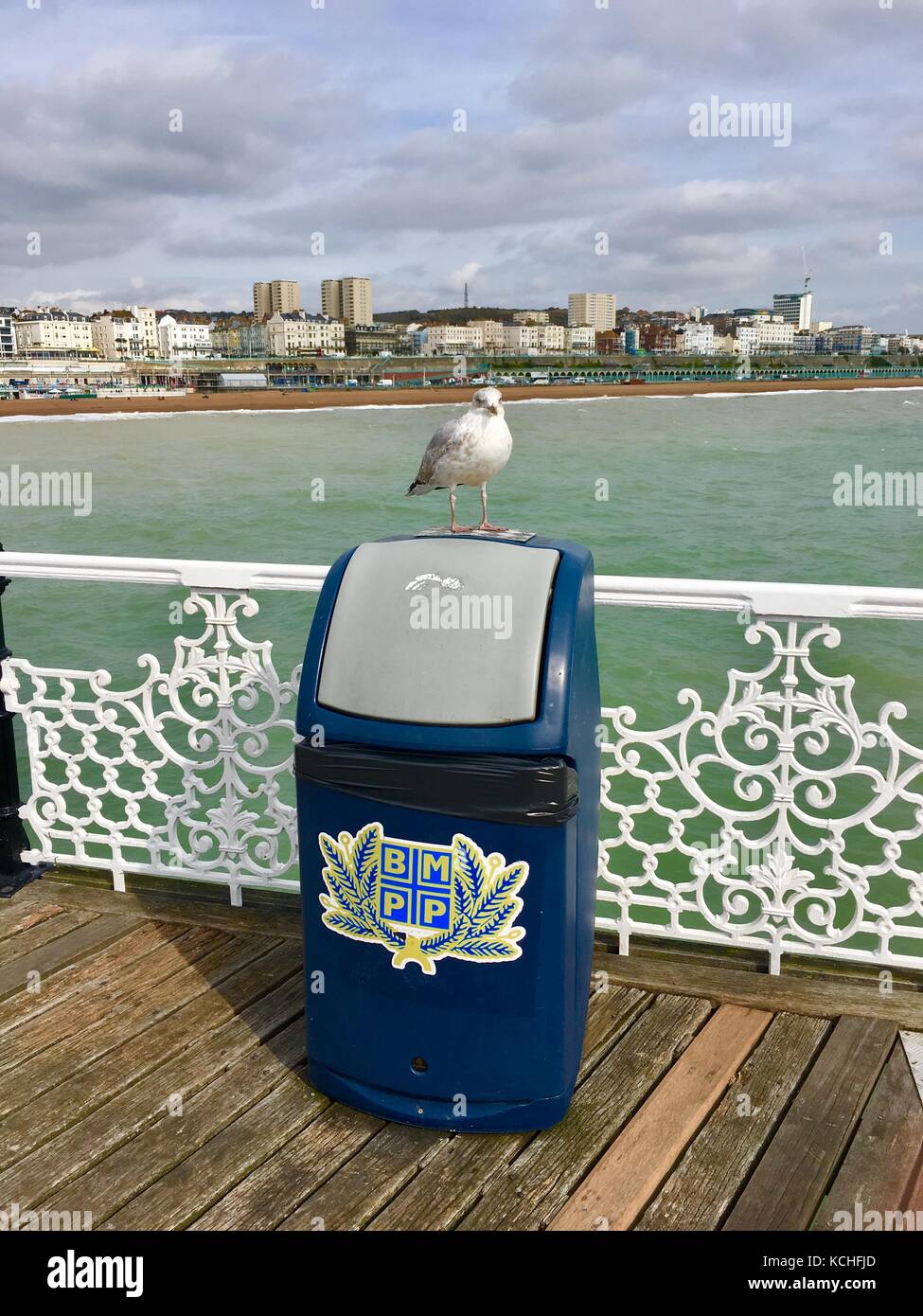 Brighton seagull hi-res stock photography and images - Alamy