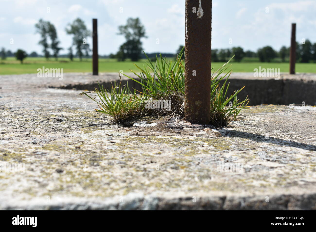 Foundation overgrown hi-res stock photography and images - Alamy