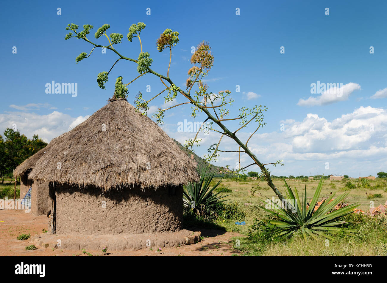 Africa mud wall hut hi-res stock photography and images - Alamy