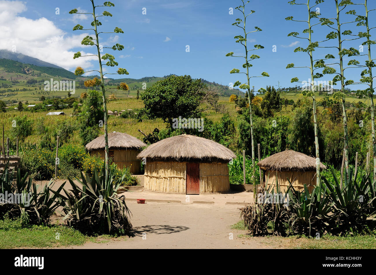 Tribe thatch primitive hi-res stock photography and images - Alamy
