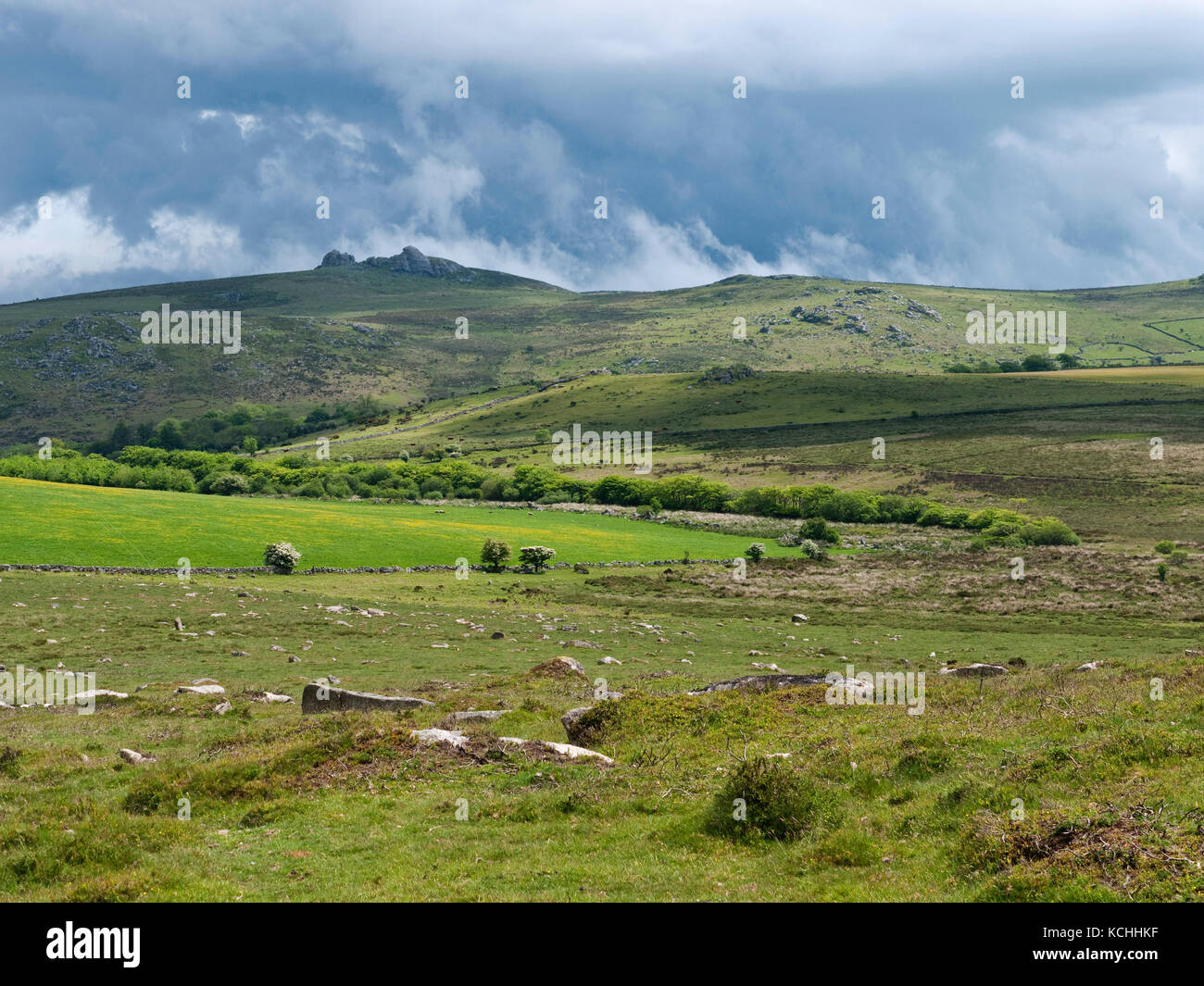 Haytor rocks on the eastern edge of Dartmoor National Park Stock Photo ...