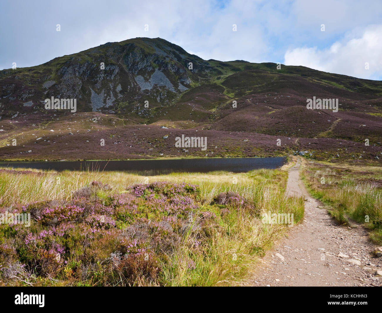 The path to Ben Vrackie, a hill outside the Perthshire town of ...