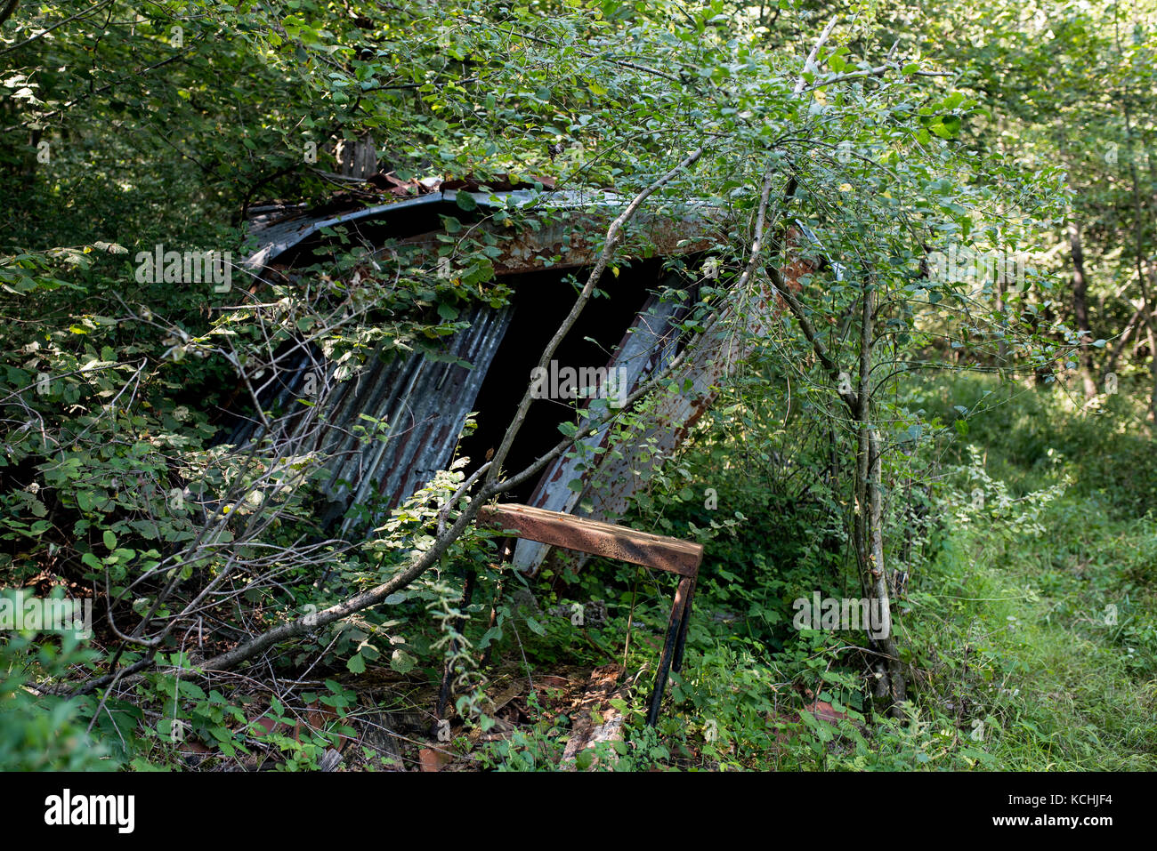 abandoned depot, warehouse in disrepair in a forest Stock Photo - Alamy