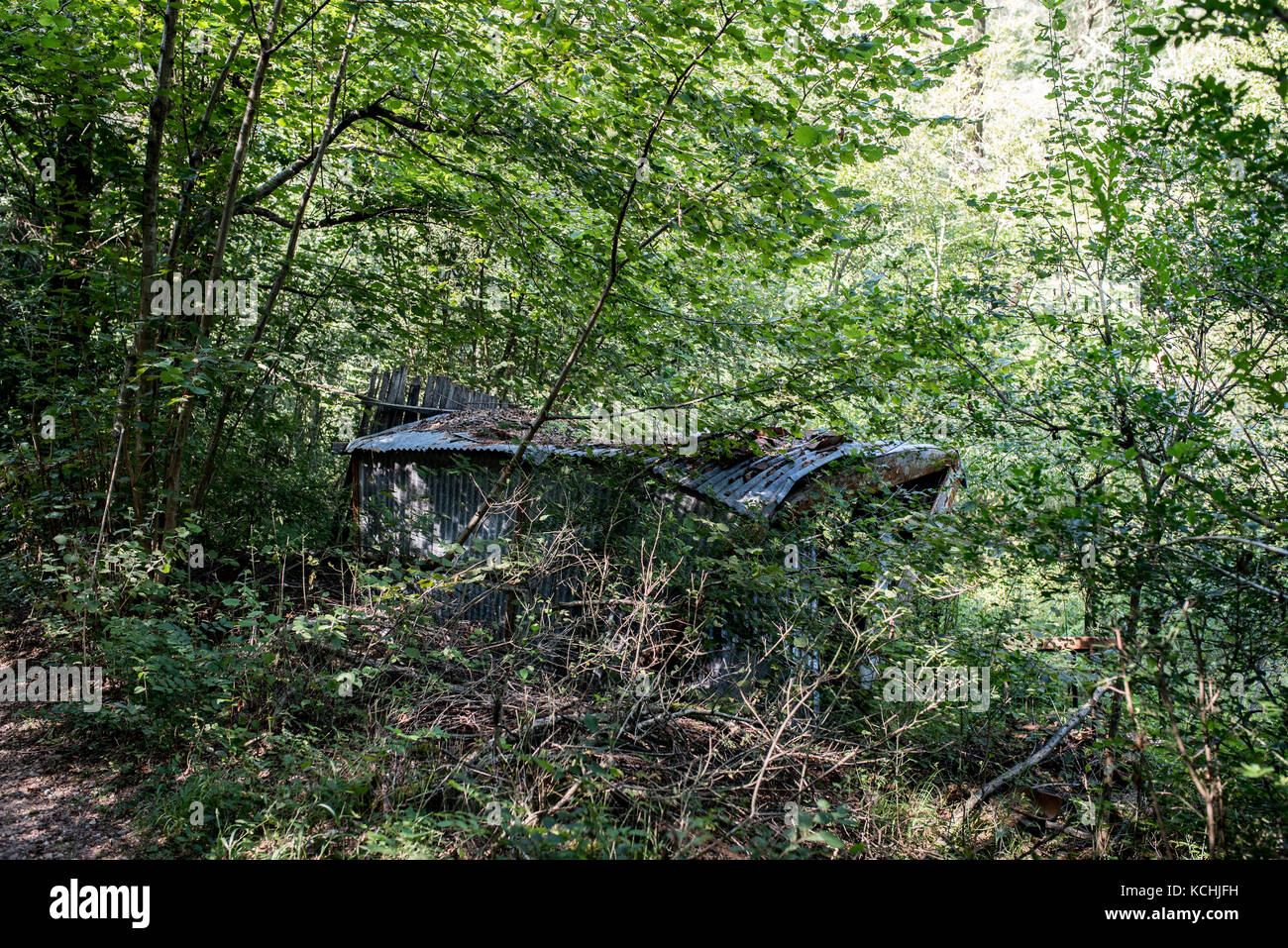 abandoned depot, warehouse in disrepair in a forest Stock Photo - Alamy