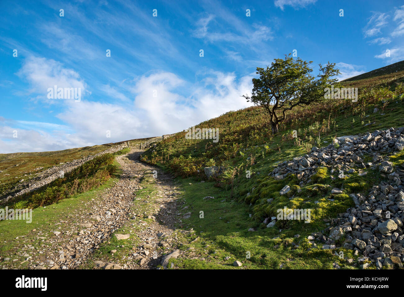Fremington edge above Reeth in the Yorkshire Dales, England Stock Photo ...