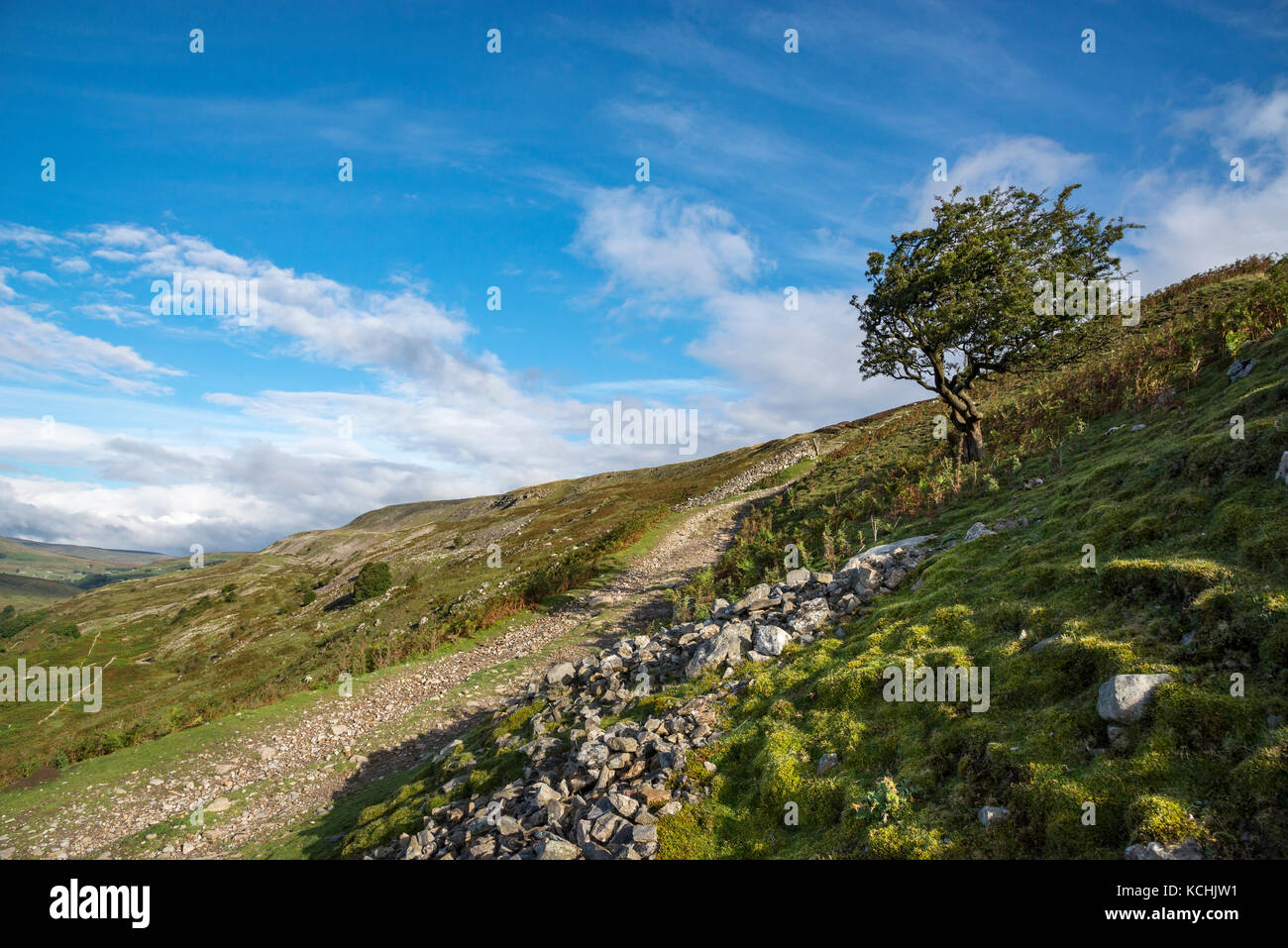 Fremington edge above Reeth in the Yorkshire Dales, England Stock Photo ...