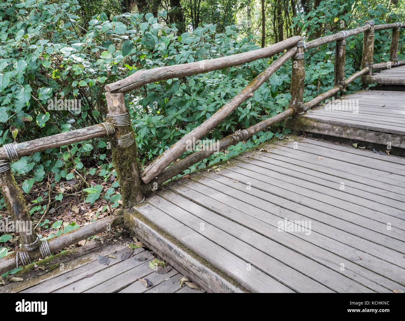 Wooden bridge with the timber railing in the nature trail on the top of ...