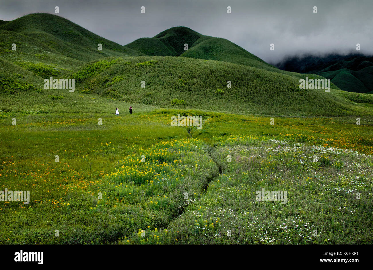 The Dzukou Valley is a valley located at the border of the states of ...