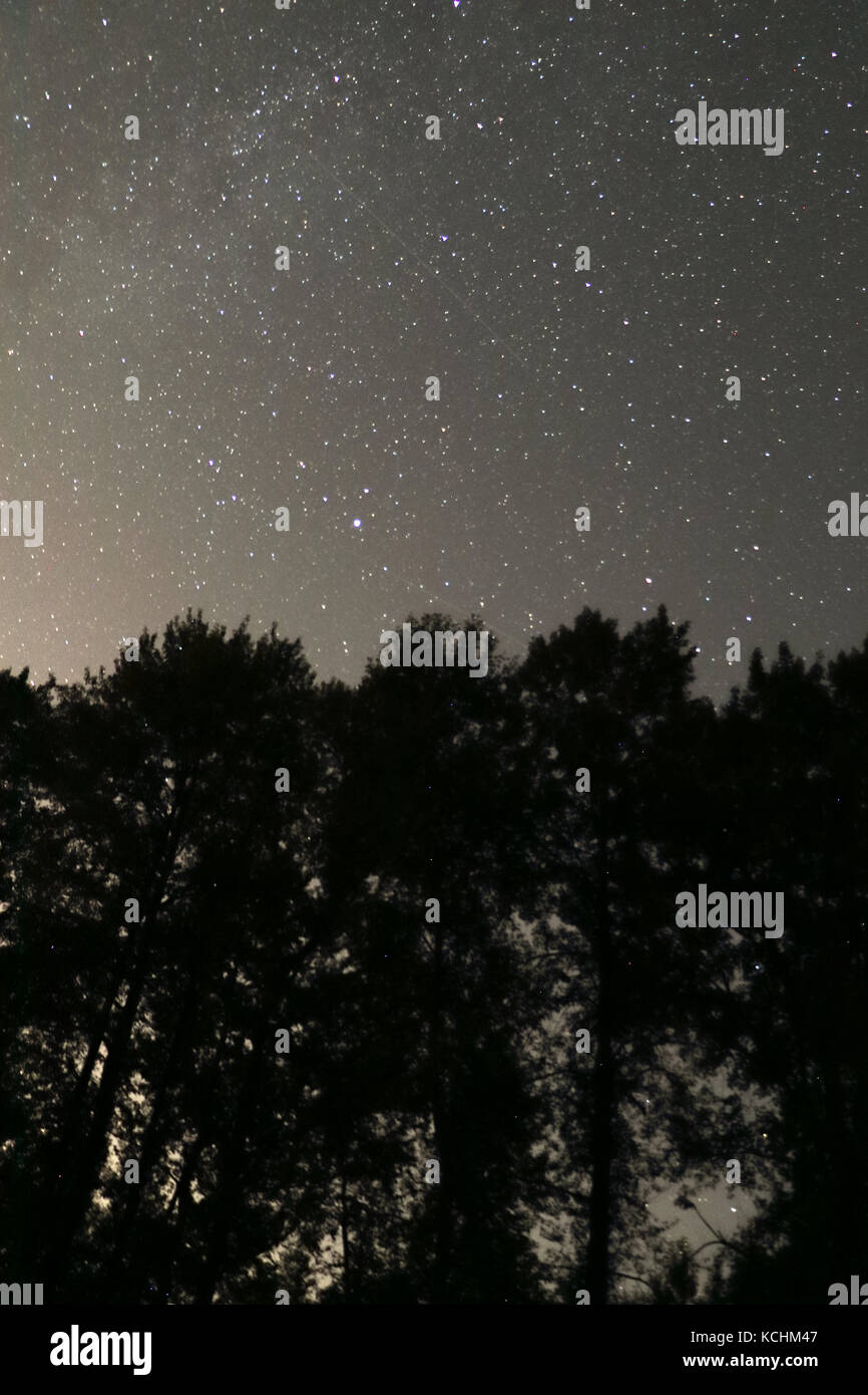 Starry summer night Stock Photo - Alamy