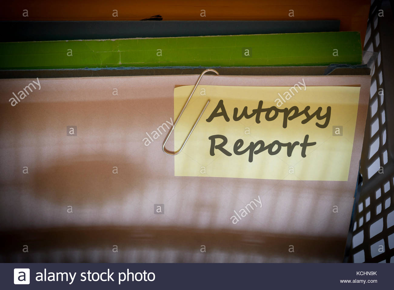 Autopsy Examination High Resolution Stock Photography and Images - Alamy