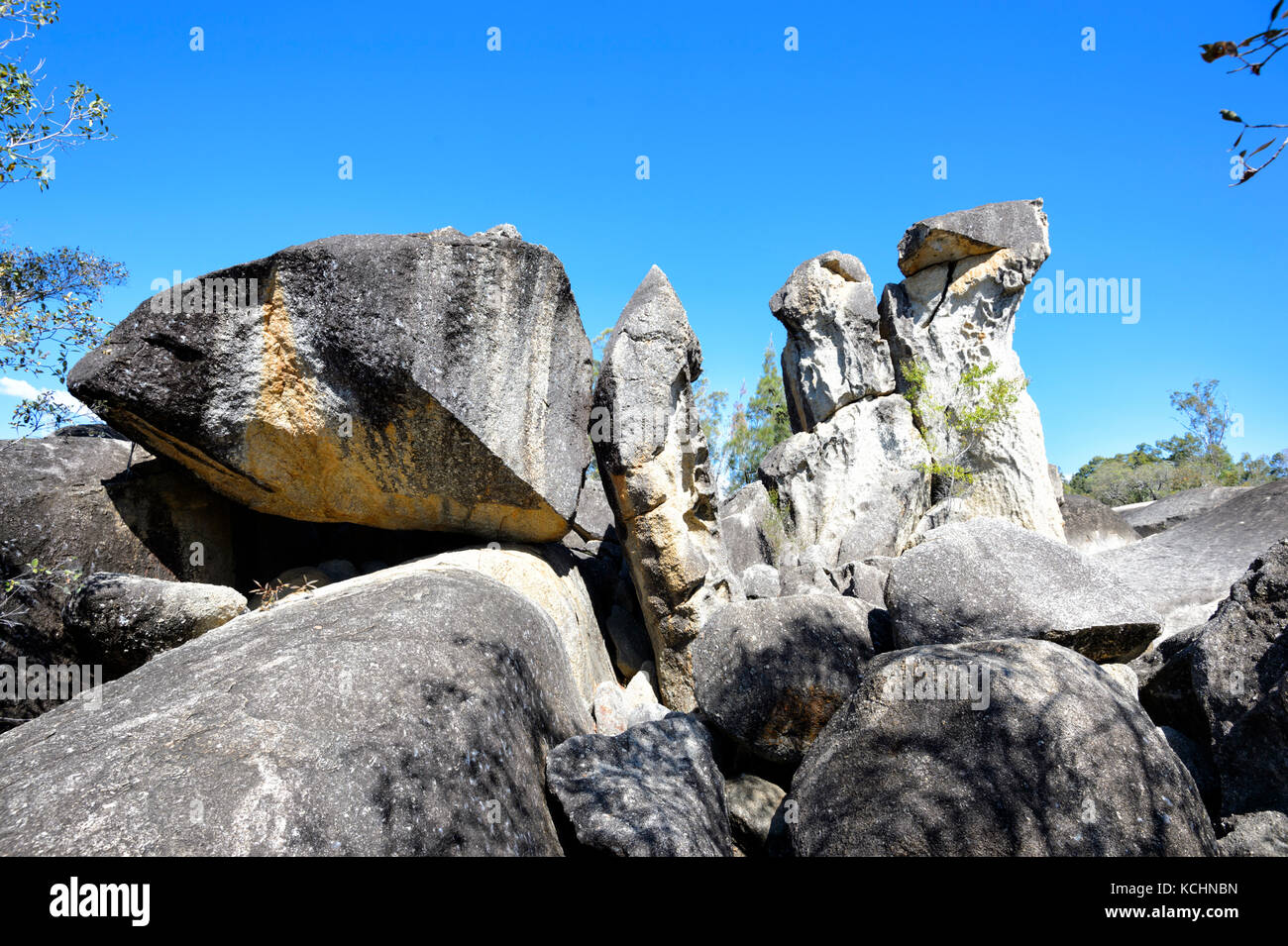 Strange Nature Images