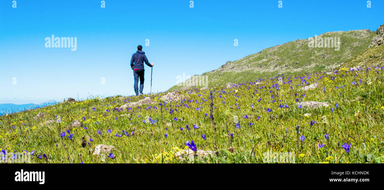 Young man taking an excursion on a mountain Stock Photo - Alamy