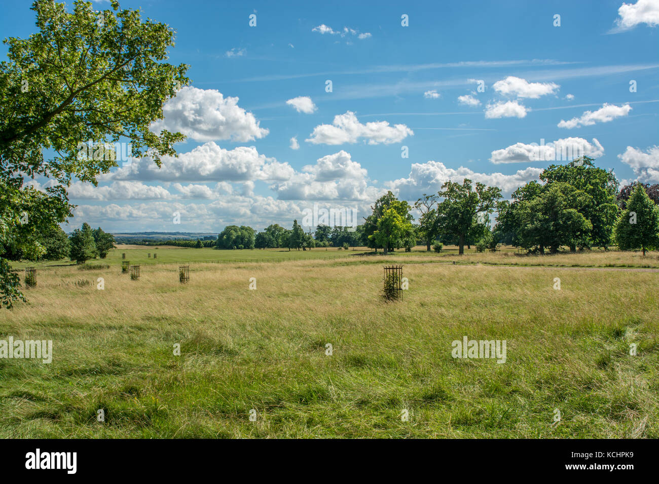 English country landscape in summer with clouds, field and trees Stock ...