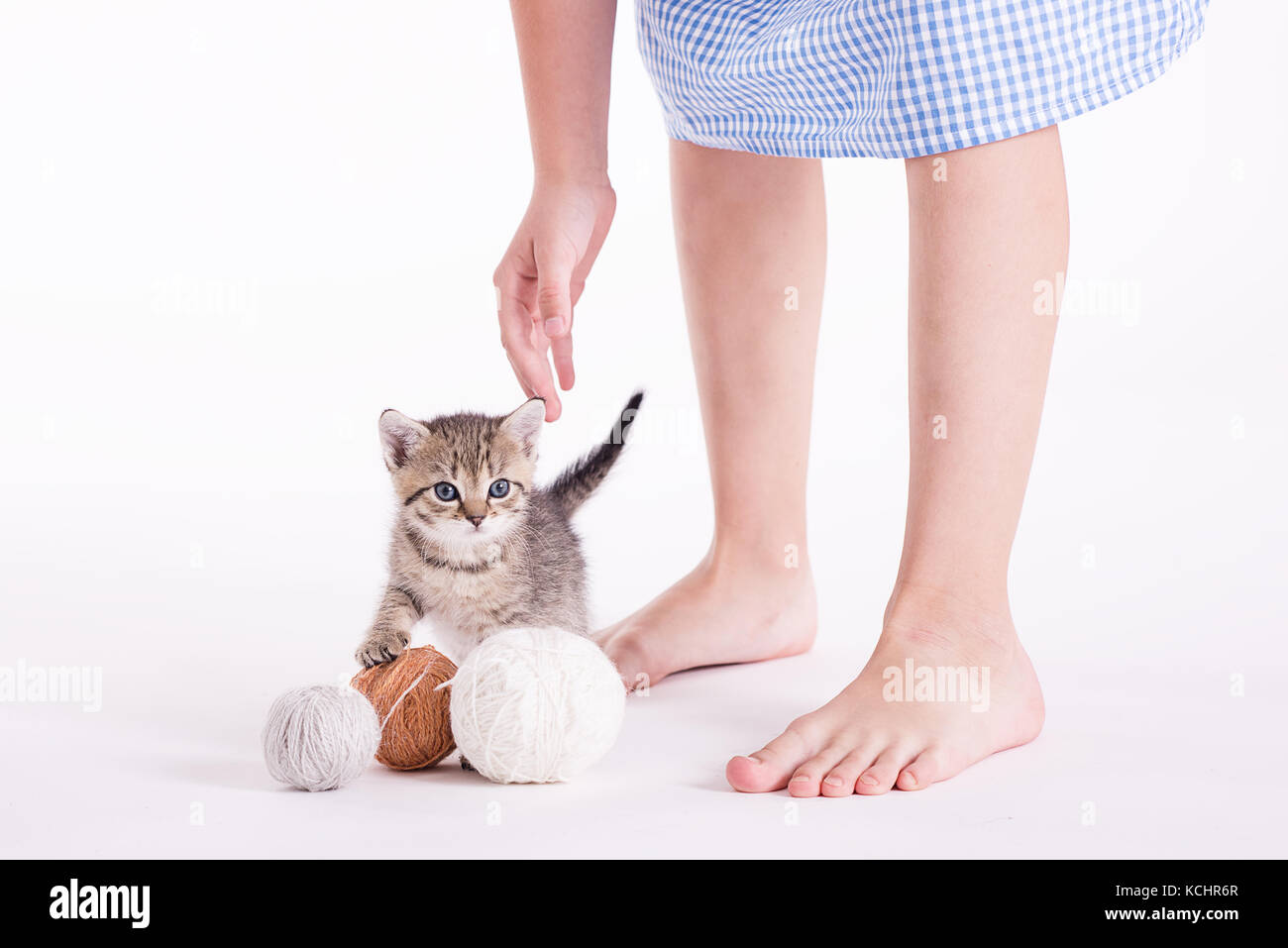 Girl playing with a kitten in studio on a white background Stock Photo ...