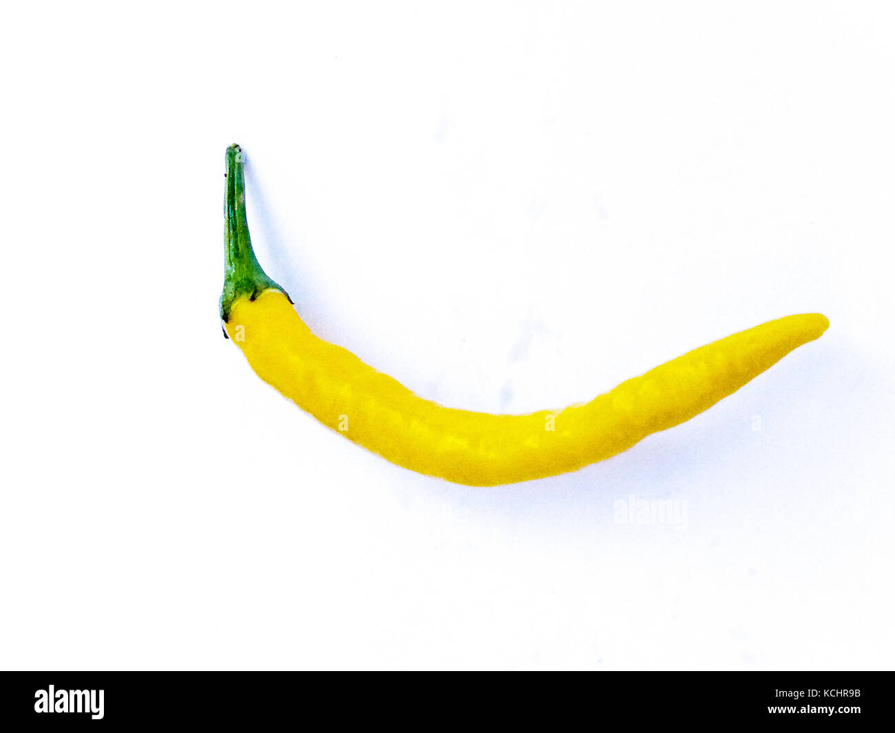 Picture of a yellow chilli pepper on white background Stock Photo - Alamy