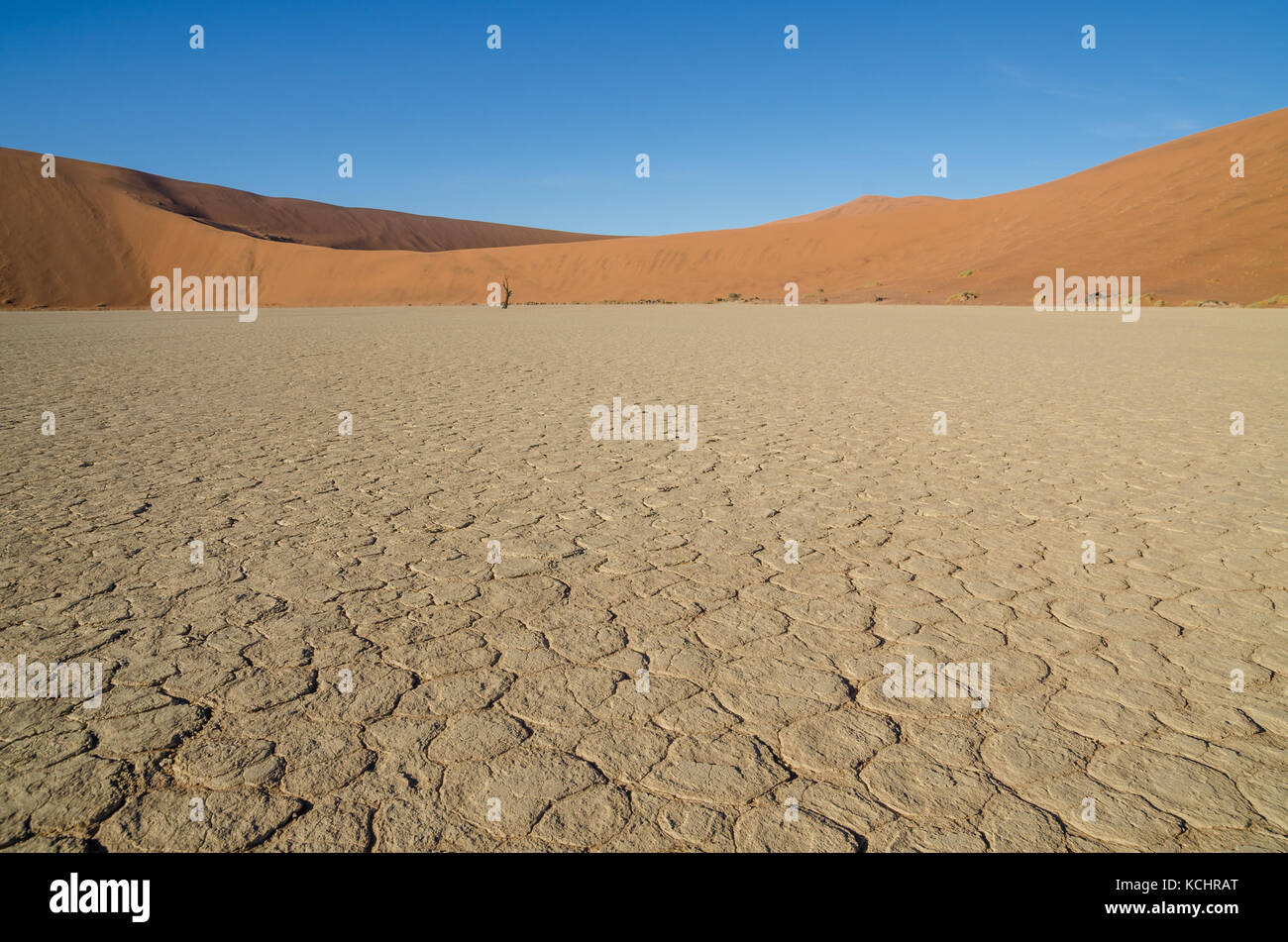 Beautiful morning in park pan hi-res stock photography and images - Alamy