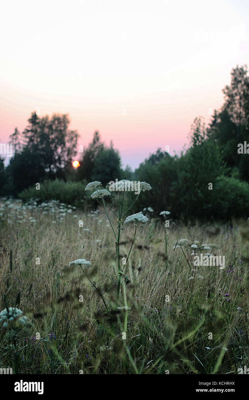 field house landscape sunset countryside Stock Photo - Alamy