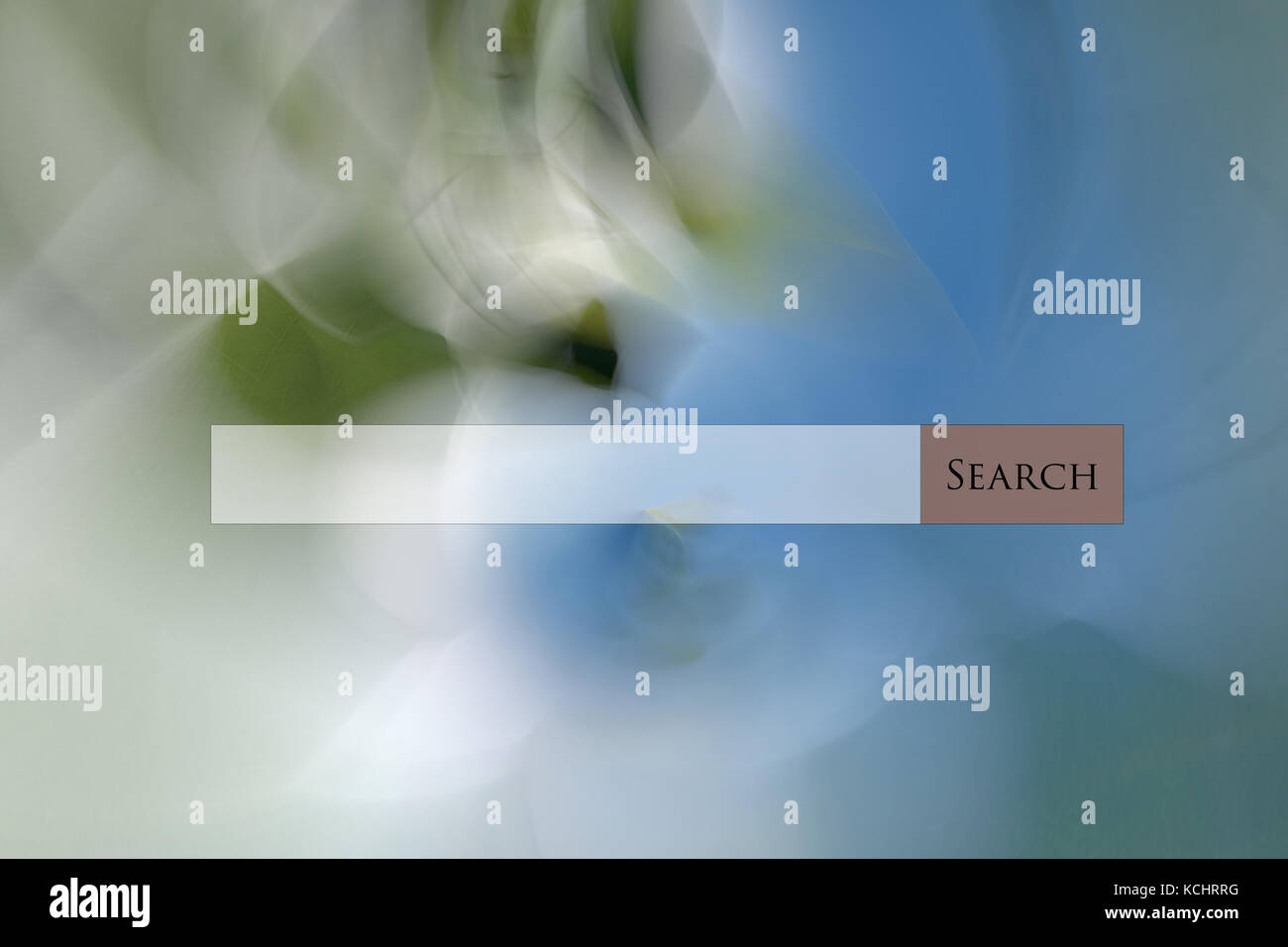 Search bar web on multi colored abstract background Stock Photo - Alamy