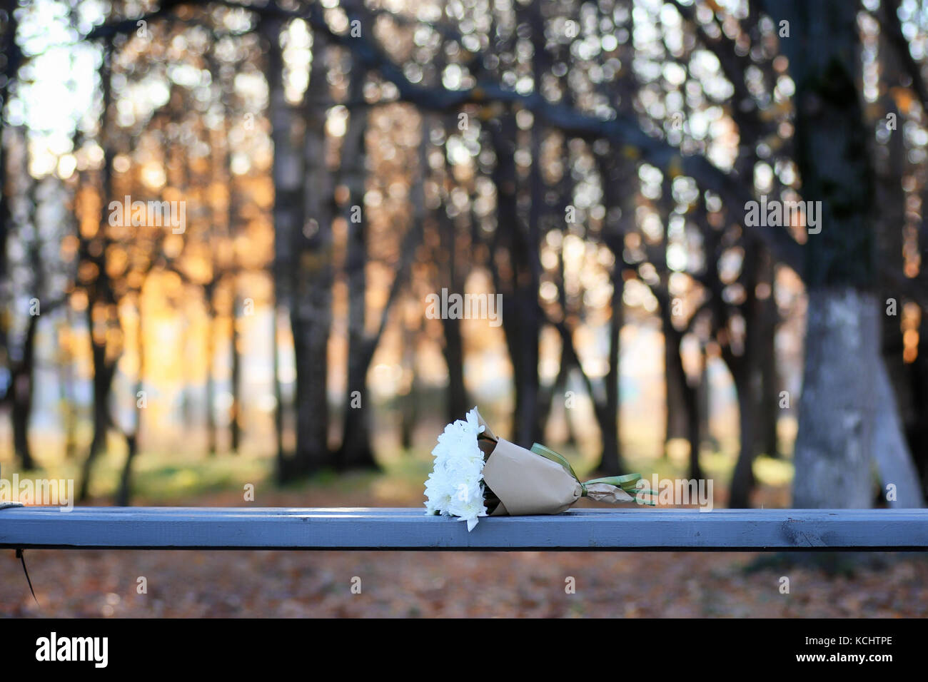 man waiting on a bench the date in autumn park Stock Photo - Alamy