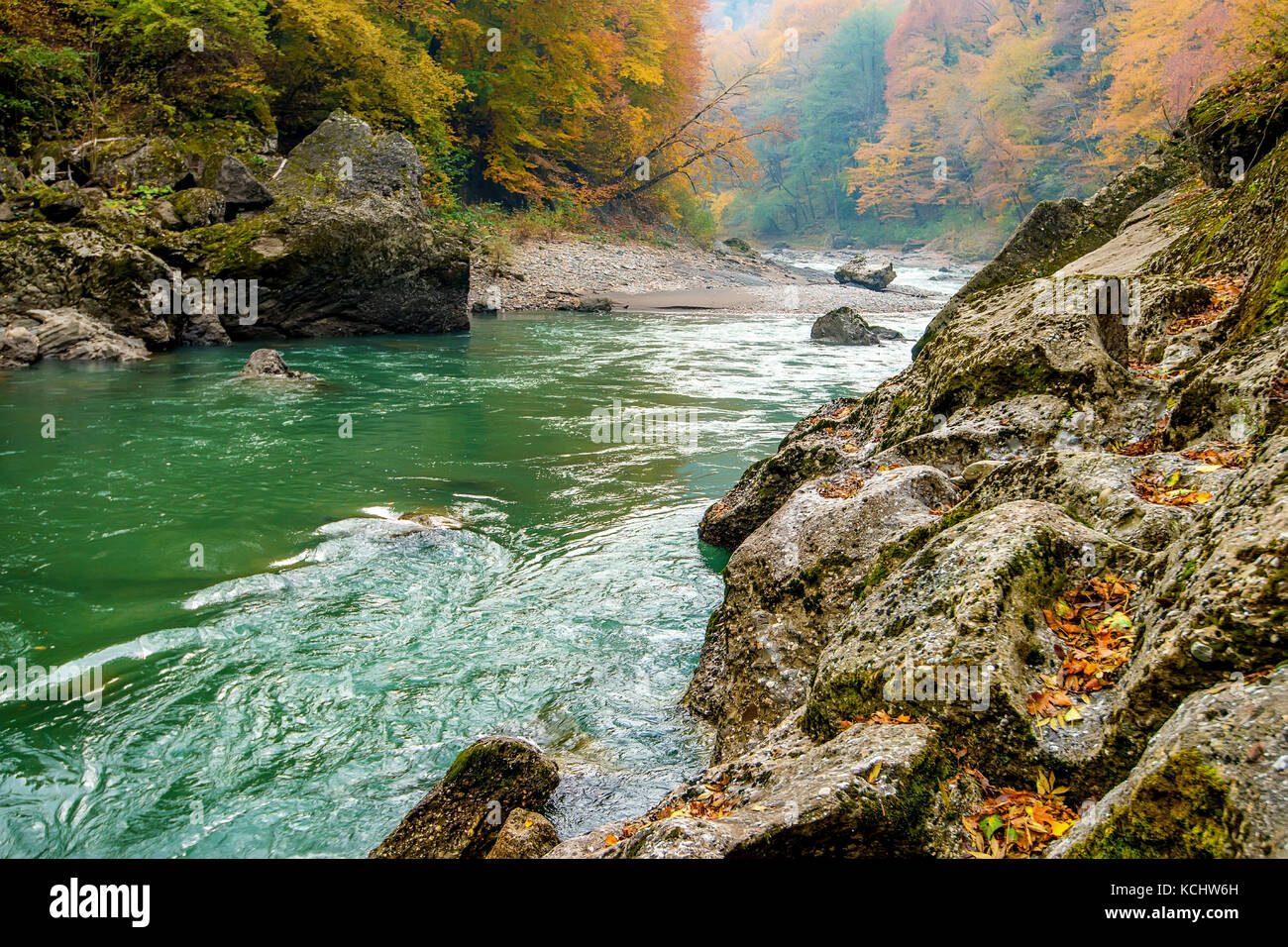 Fall landscape with mountain river and forest Stock Photo - Alamy