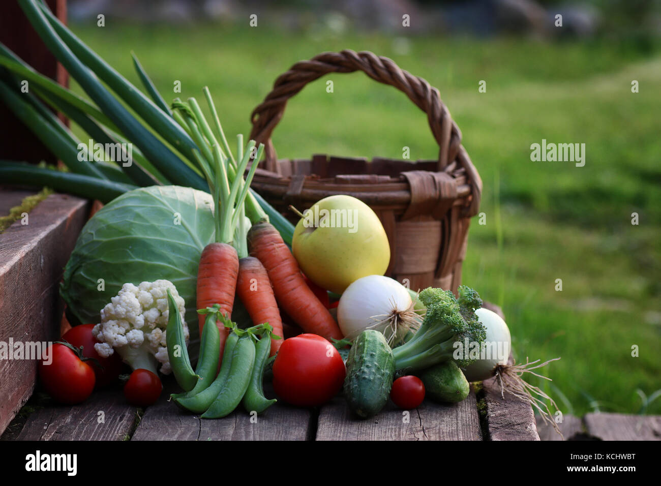 fresh vegetable harvest nature outdoor Stock Photo - Alamy