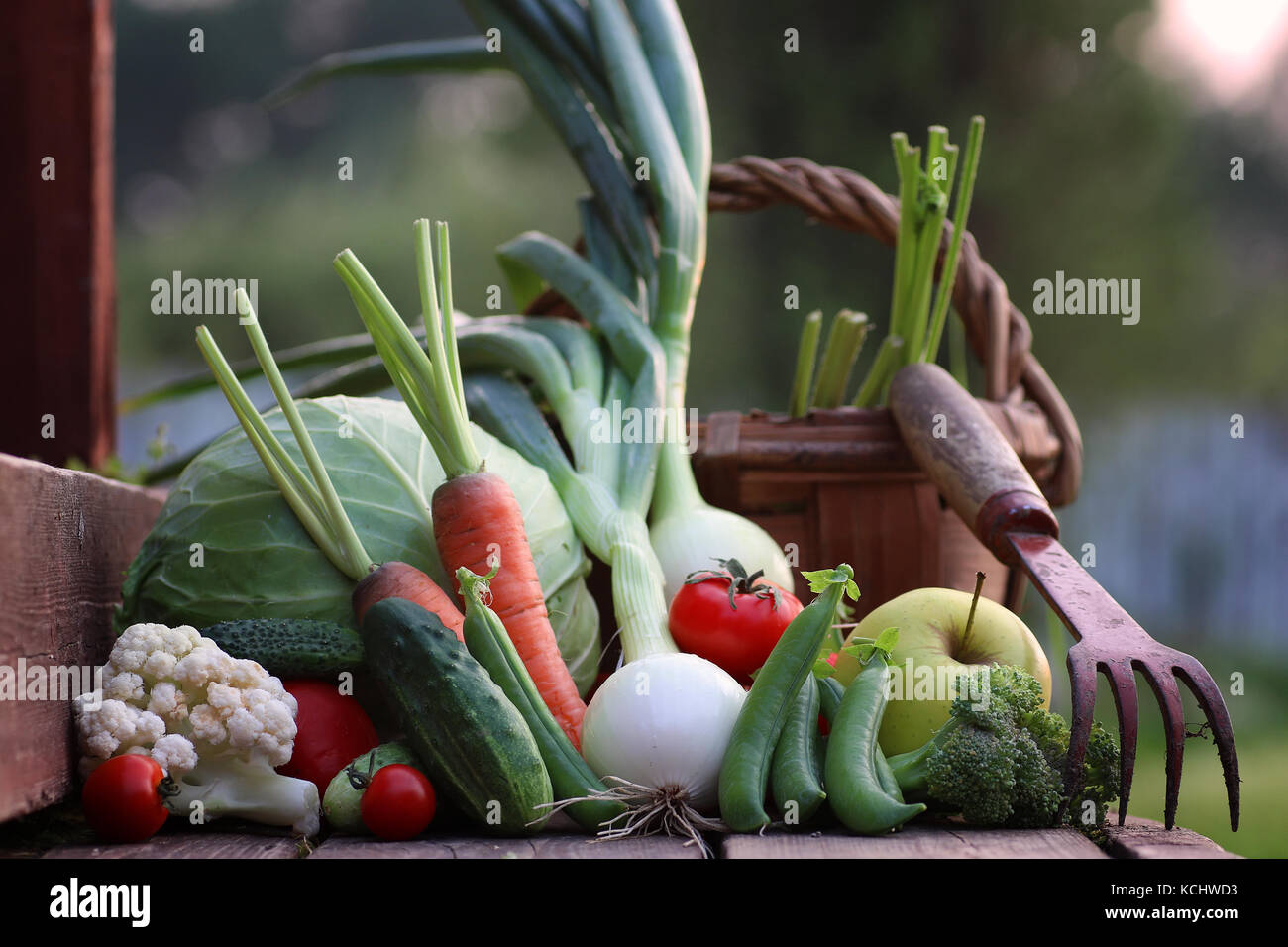 fresh vegetable harvest nature outdoor Stock Photo - Alamy