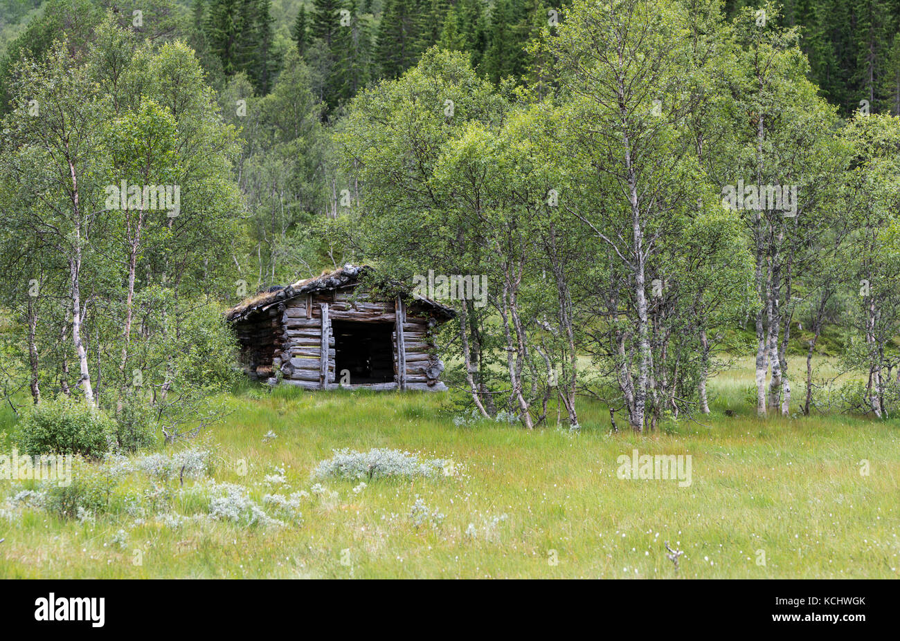 brown wooden hut in green forest Stock Photo - Alamy
