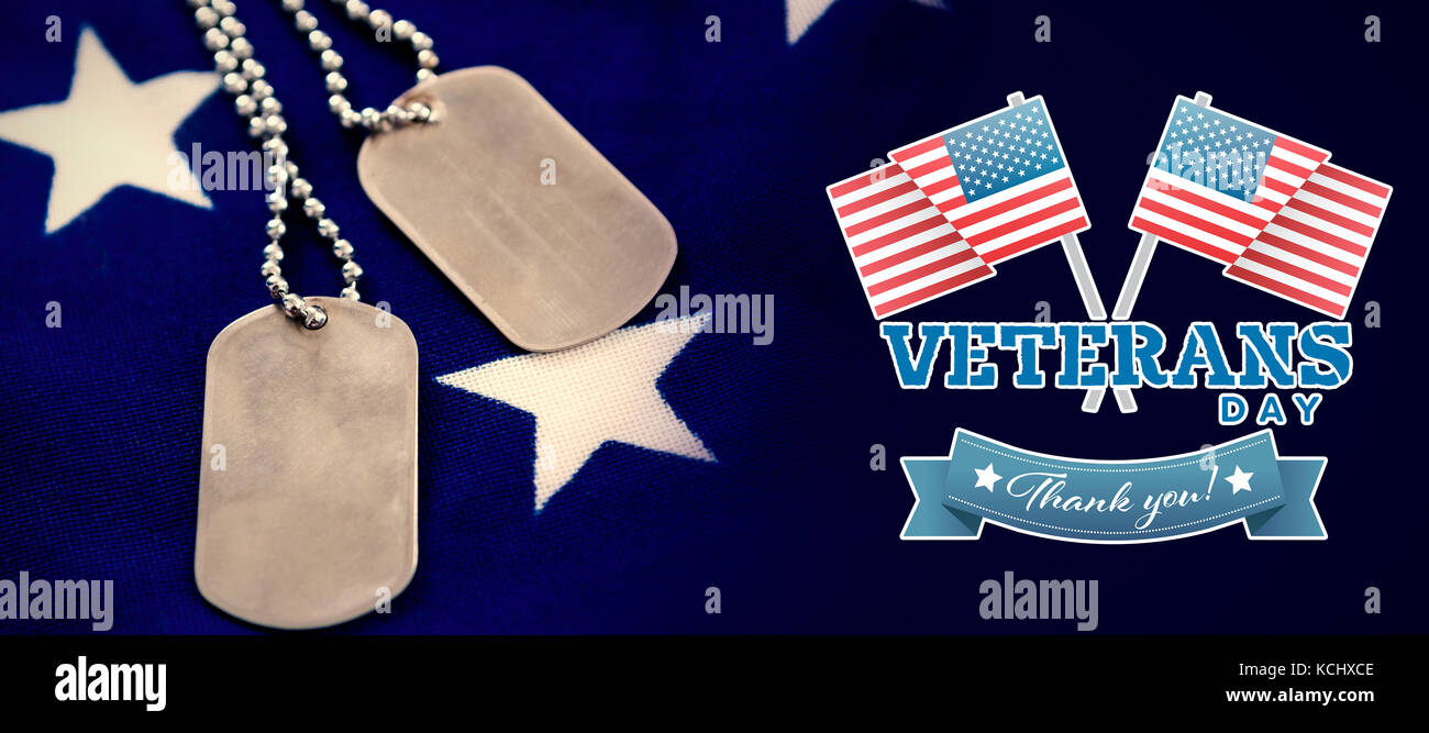 Logo for veterans day in america against dog tag chains on star shapes ...