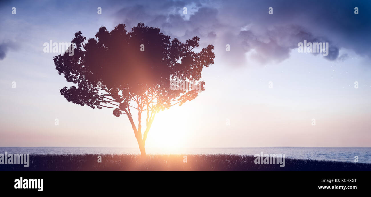 Tree on sunset Stock Photo - Alamy