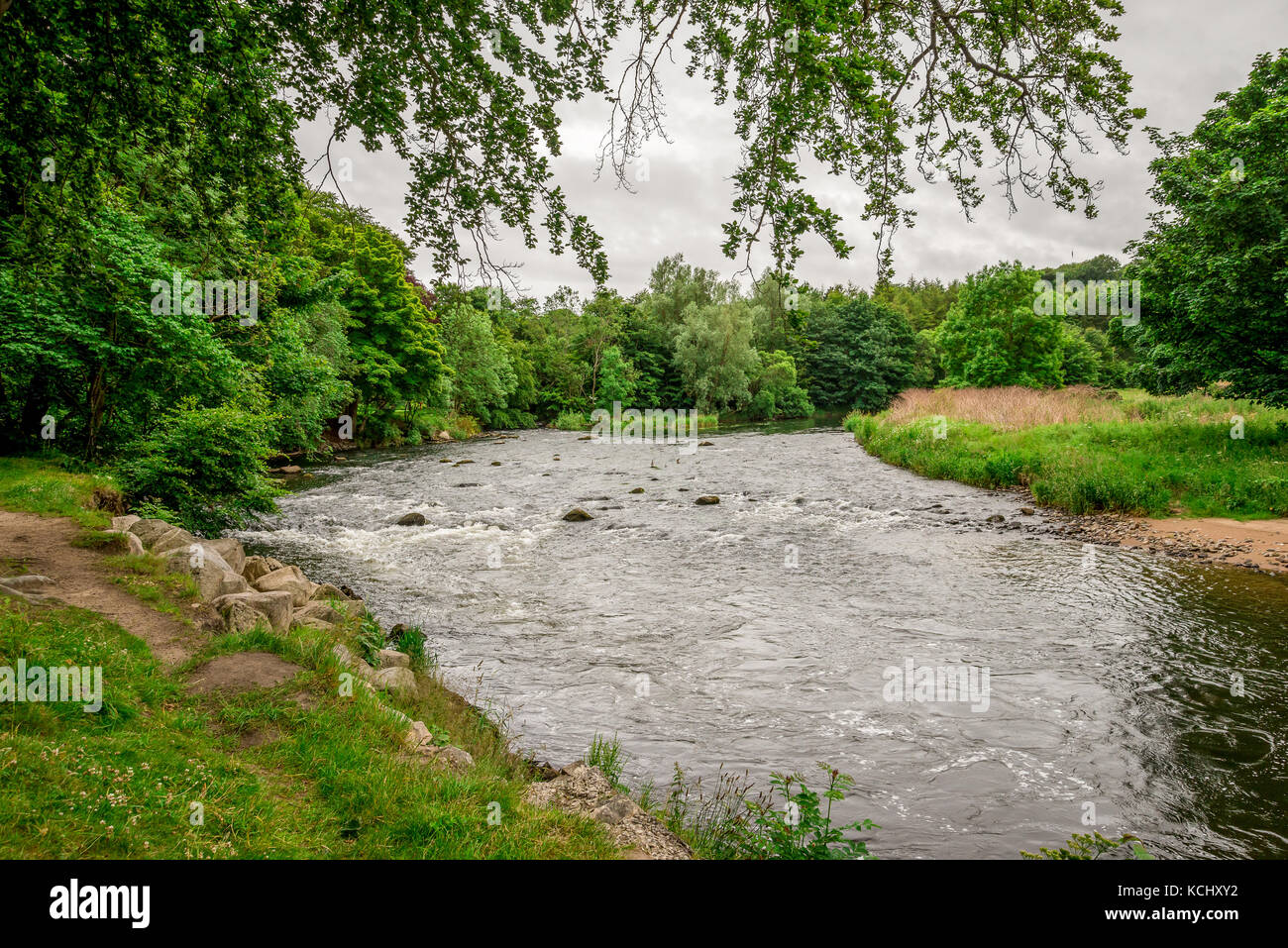 A view of River Don flowing in Seaton park in summer time, Aberdeen ...