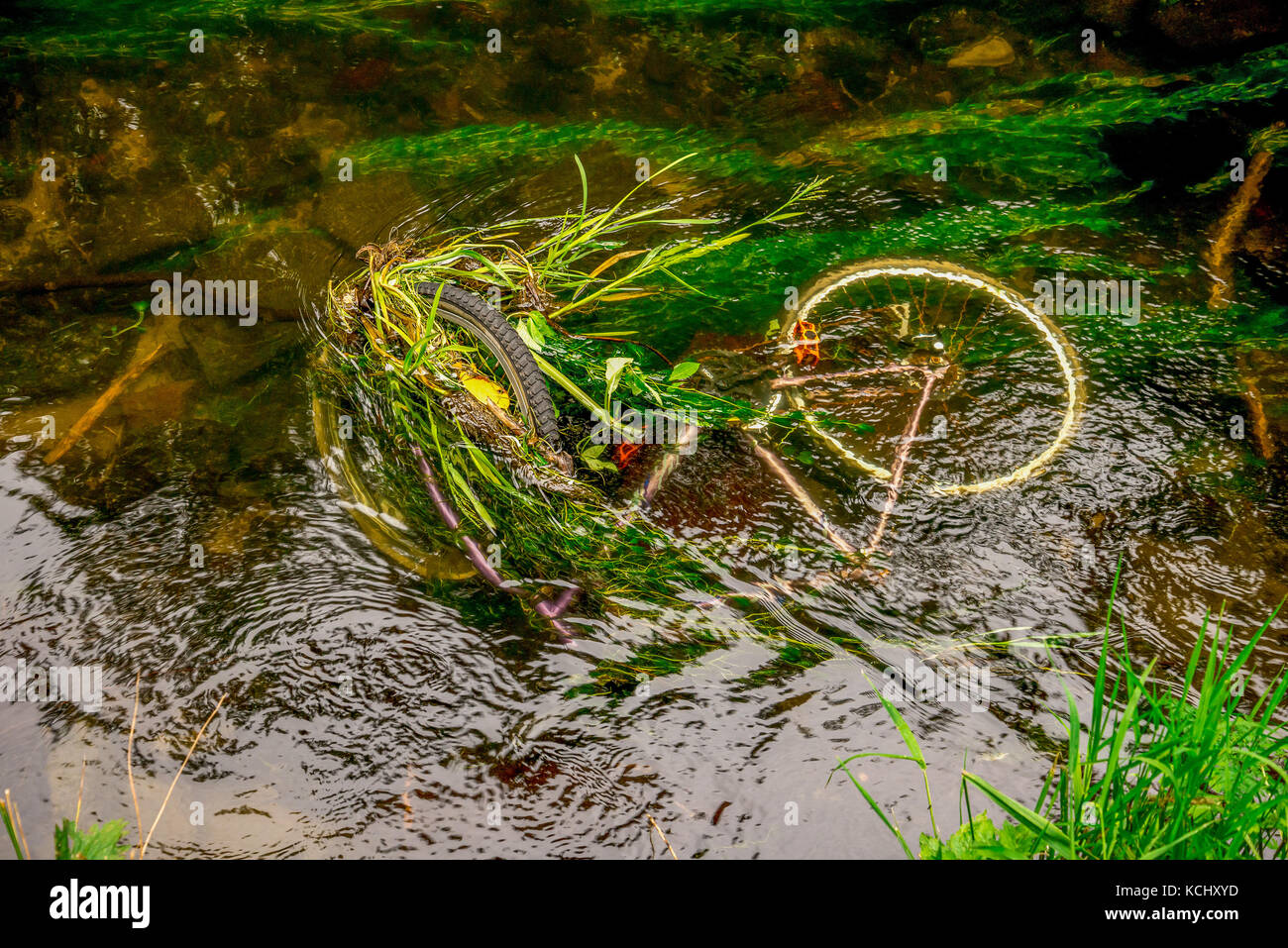 A sunken bicycle in shallow waters of river Don in Seaton park ...