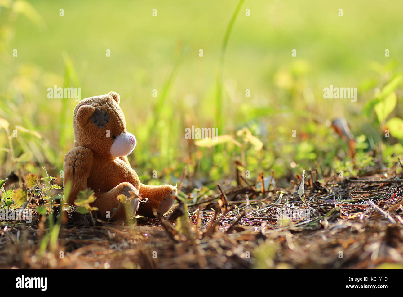 alone toy on the ground Stock Photo - Alamy