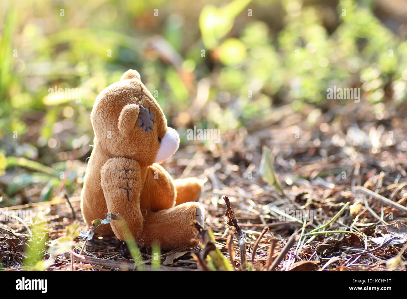 alone toy on the ground Stock Photo - Alamy
