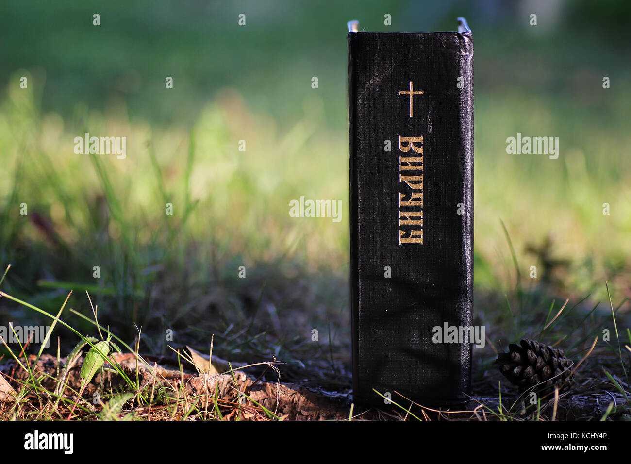 inscription on the book of the Bible "Bible" with cross in natur Stock ...