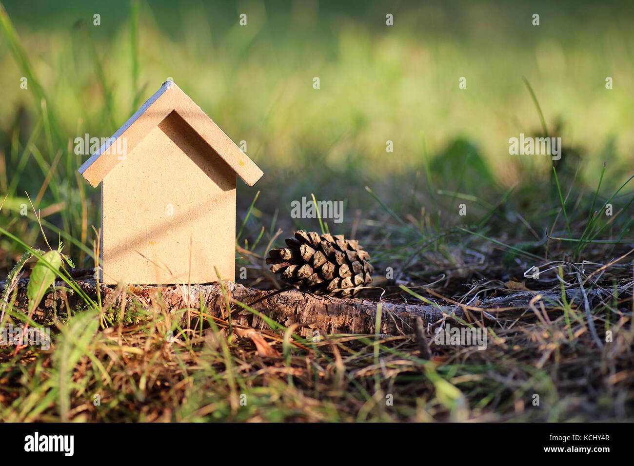 figure house in nature Stock Photo - Alamy