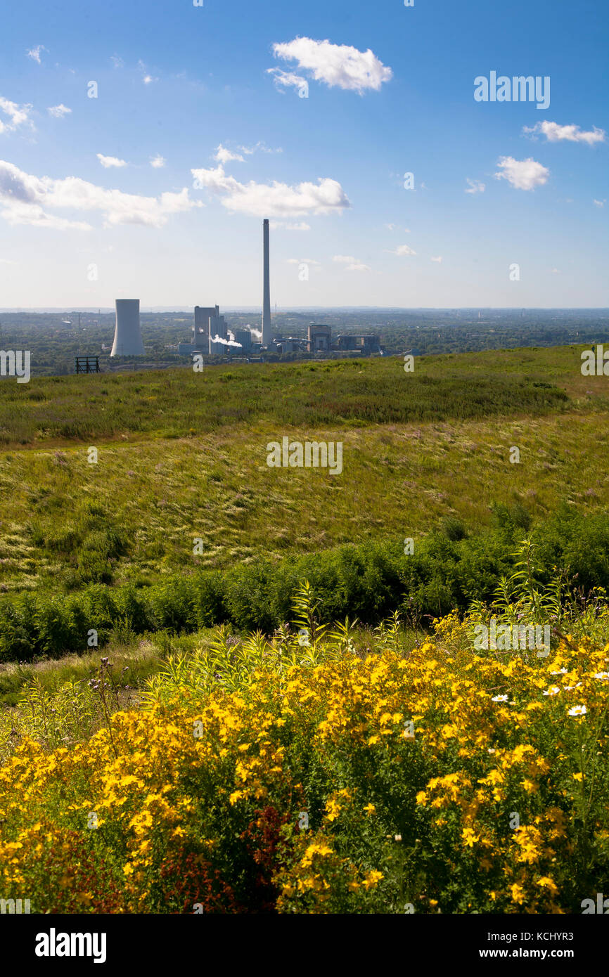 Germany, Ruhr area, Herten, view from the heap Hoheward to the Evonik ...