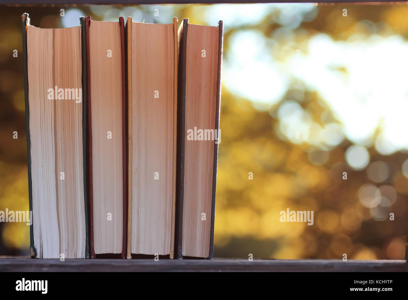 autumn book stack wooden outdoor Stock Photo - Alamy