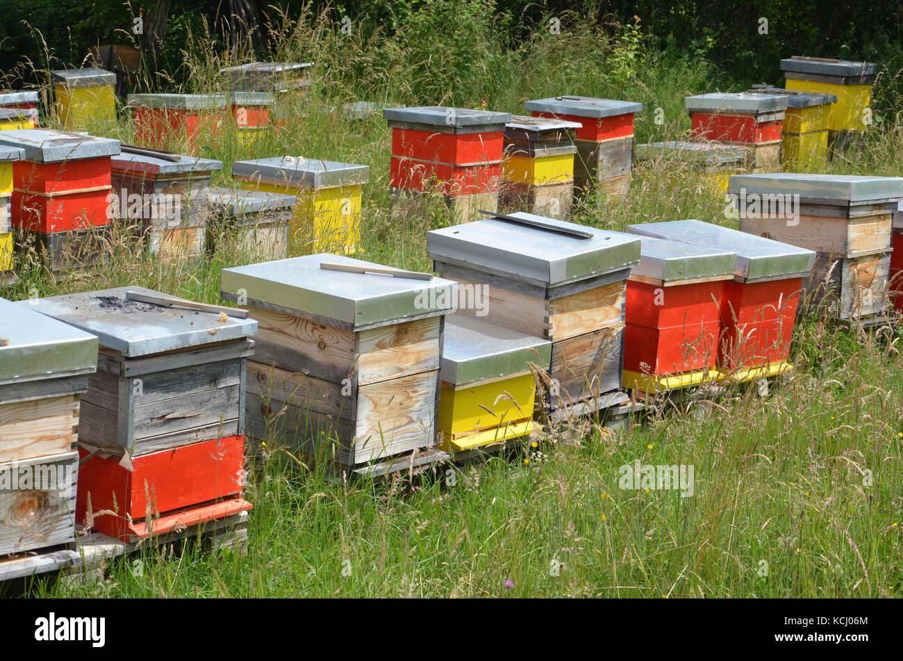 Bee houses in the forest Stock Photo - Alamy