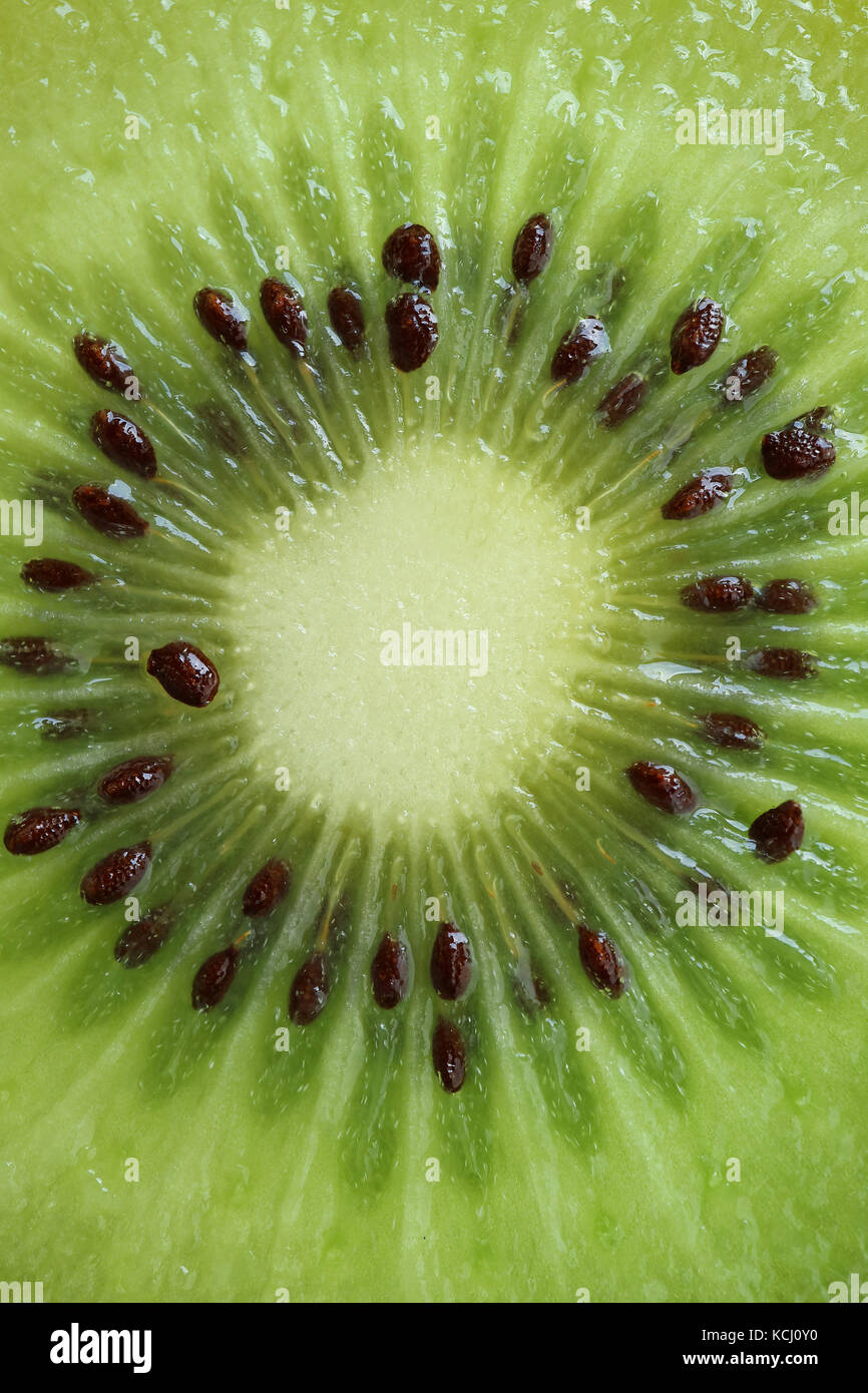 Macro Shot of Cross Section of Bright Green Fresh and Juicy Ripe Kiwi ...