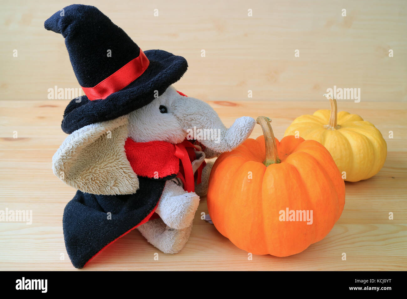 Wizard costume elephant doll with a pair of vivid color ripe pumpkins ...