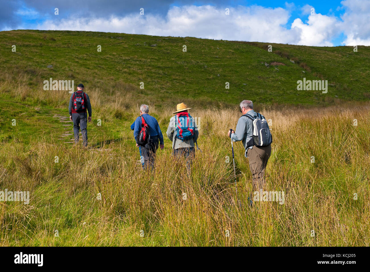 Group of ramblers people walkers hikers hiking walking along path ...